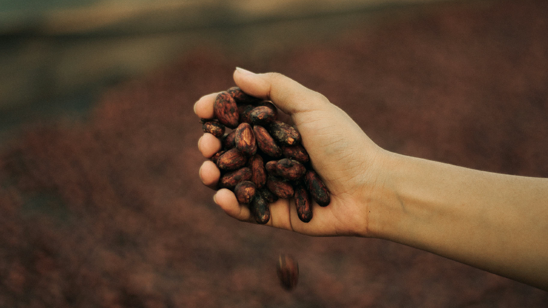 The Ripple Effect of Cocoa Shortages on the Chocolate Industry ...